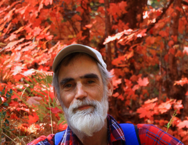 Tom Kelly - Official Website